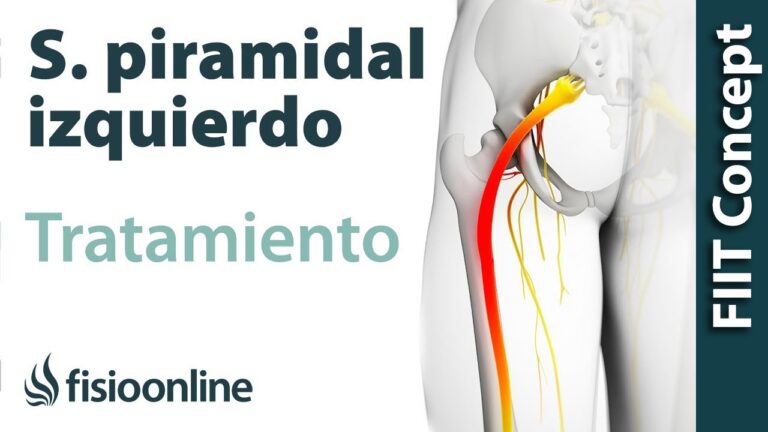 Todo lo que Necesitas Saber sobre el Bulto Interno en el Glúteo ...