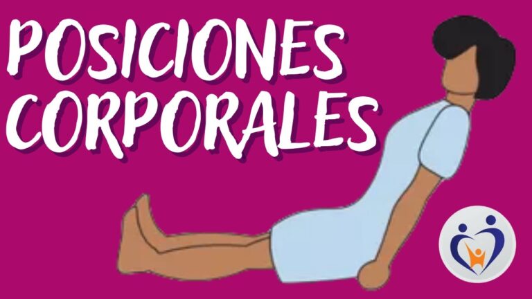 ¿Cuáles son las 12 Posiciones Anatómicas? Guía Completa y Explicativa ...